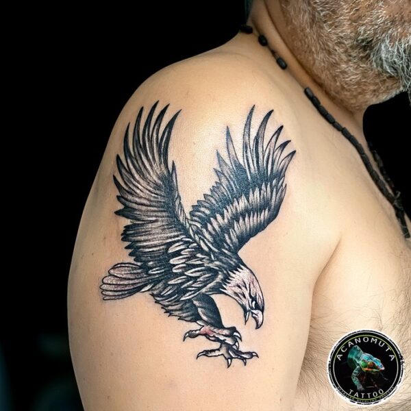 Αετός τατουάζ - Acanomuta Tattoo Studio